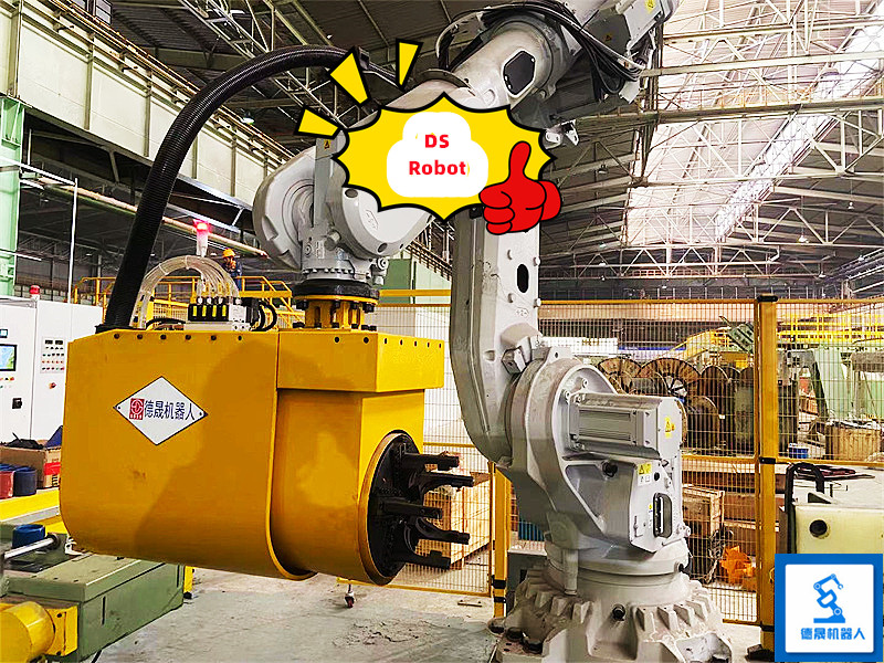 Robot manufacturer_supplier_factory - Shandong Desheng Robot Co., LTD.