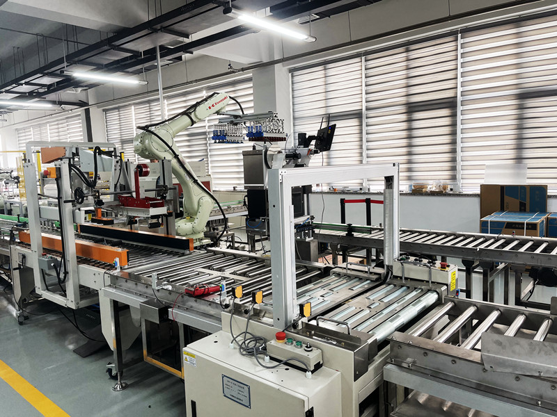 Robotic Packing Line manufacturer_supplier_factory - Shandong Desheng ...
