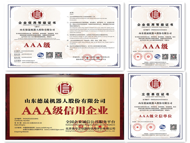 ANSI RIA R15.06 Certified Systems manufacturer_supplier_factory ...
