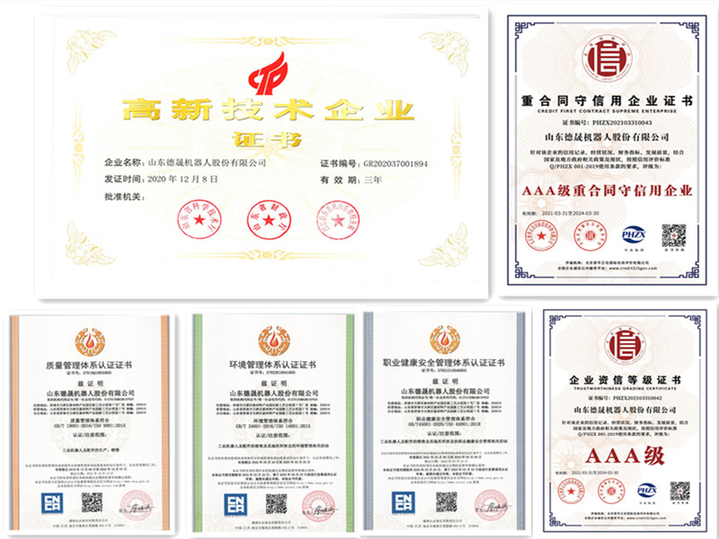 ANSI RIA R15.06 Certified Systems manufacturer_supplier_factory ...