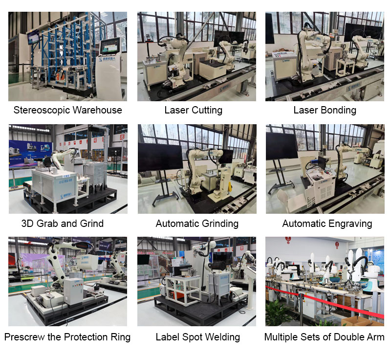 Cartesian Robot System Manufacturer Supplier Factory Shandong Desheng